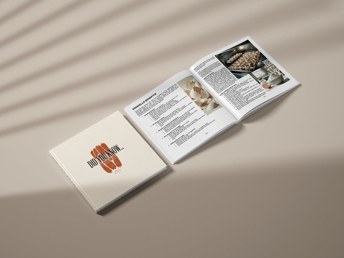 *PRE-ORDER* Official “Don’t Throw it Out!” Book #2