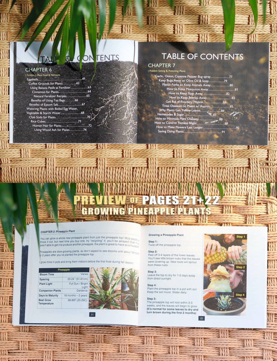 Official “Don’t Throw it Out” Book | Plant Hacks/Tips/Tricks